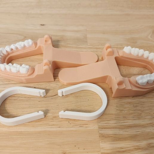 👄 Mouth Chip Clip from 3D Scan of Teeth・Free STL File for ・Cults
