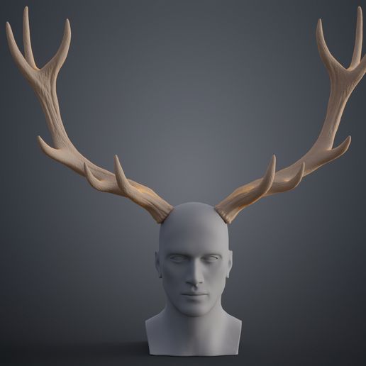 🦌 Red Deer antlers・ 3D File for 3D printing・Cults