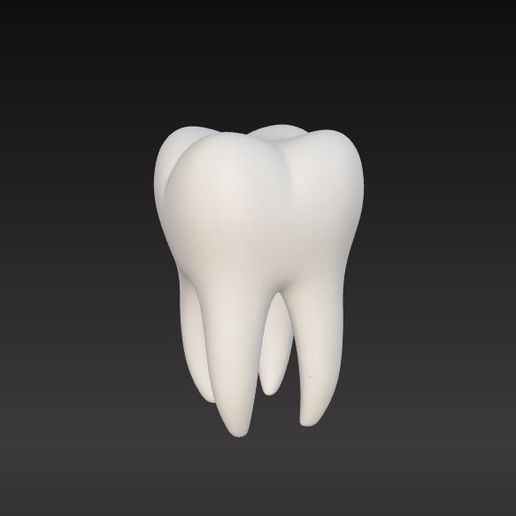 🦷 tooth・ STL File for 3D printing・Cults