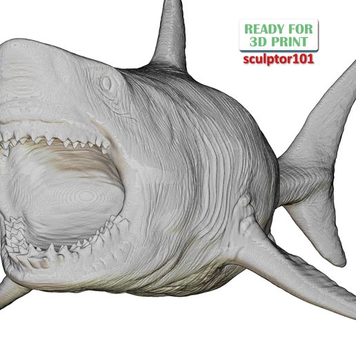 🌊 Ancient Ocean Creature Megalodon 3D sculpting printable model・ 3D ...