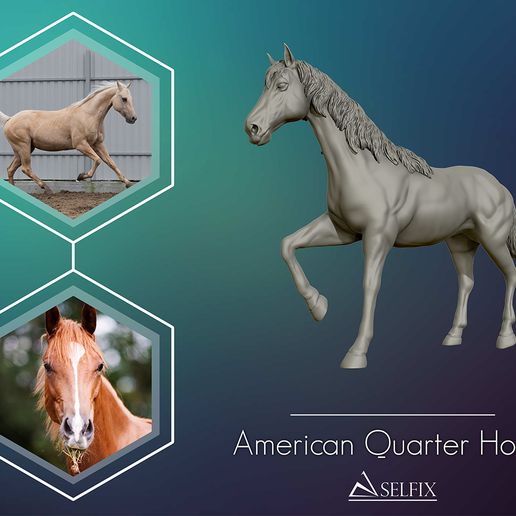 🐎 American Quarter Horse model 3D print model・ STL File for ・Cults