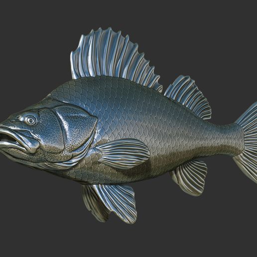 🐠 Perch fish on the base・ STL File for 3D printing and CNC machining ...