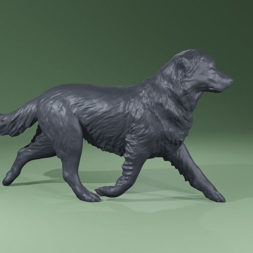 🐕 Realistic Australian Shepherd dog running 3D print model・ STL File ...