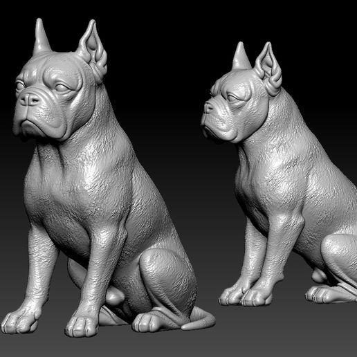 🐕 Deutscher boxer Dog - Boxer Tedesco Dog - statue - 3D print・ 3D File ...