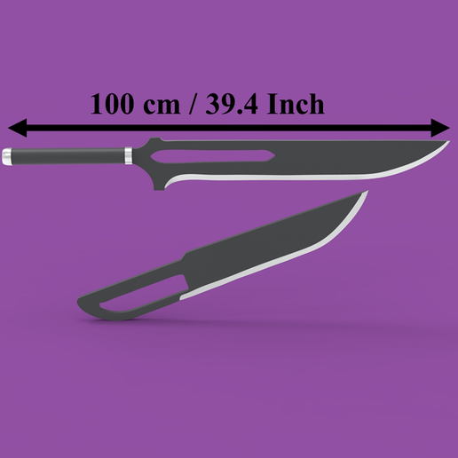 👾 Dual-Blade 3D Model of Shikai Zangetsu from Bleach・ STL File for 3D ...