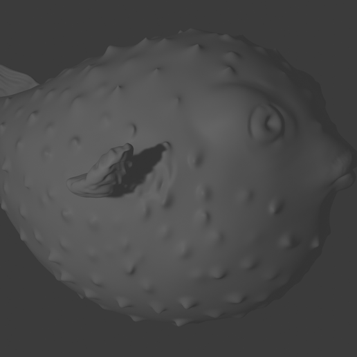 🐡 pufferfish (Tetraodontidae)・ STL File for 3D printing・Cults