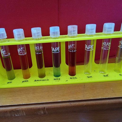 STL file API Test Tube Rack 🧪 ・Model to download and 3D print・Cults