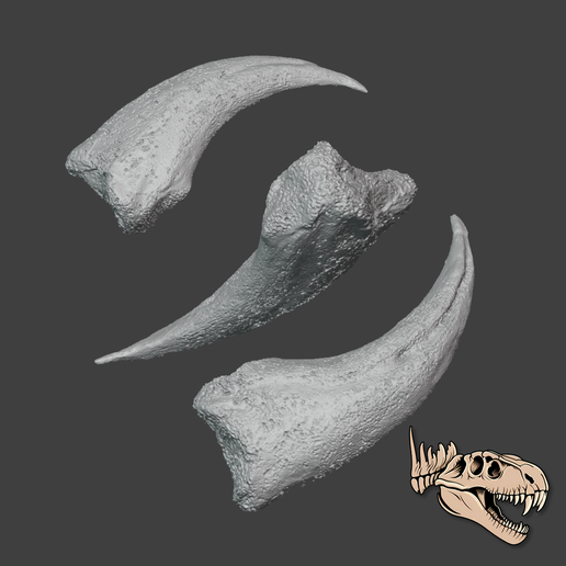 Spinosaurus hand (manus) claw.・ STL File for 3D printing・Cults