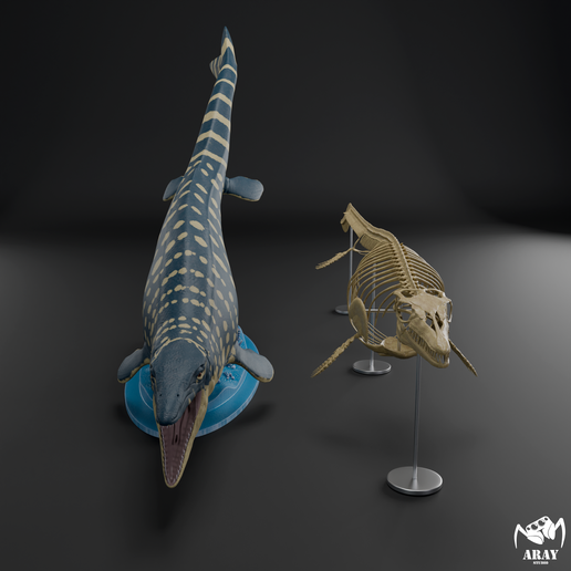 💀 Mosasaurus hoffmanni skeleton 3D print model・ 3D File for 3D printing ...
