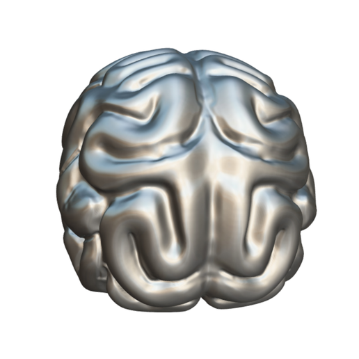 🧠 Human Brain 3D Model・ STL File for 3D printing・Cults
