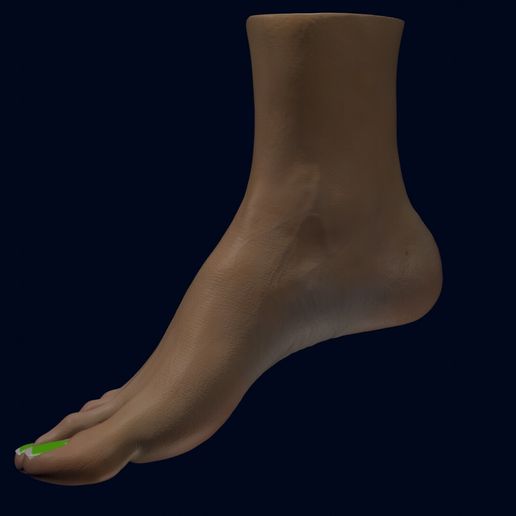 🦶 Alyssa Foot Sculpt・ STL File for 3D printing・Cults
