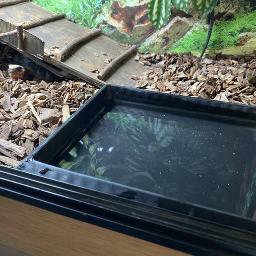 🛀 Tortoise, reptile bath・Free STL File for 3D printing・Cults