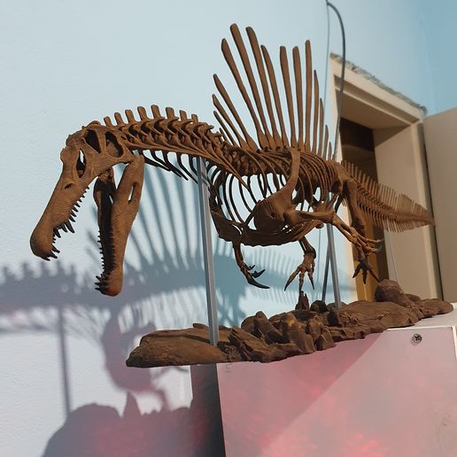 💀 Spinosaurus aegyptiacus skeleton v1,v2 and version JP3 model 3d print ...