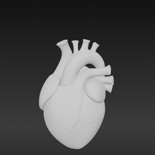 Archivo STL Highly Detailed Human Heart STL File for 3D Printing ...
