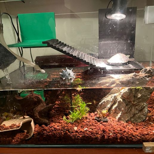 STL file Modular Turtle Aquarium Platform - Modular Turtle Aquarium ...