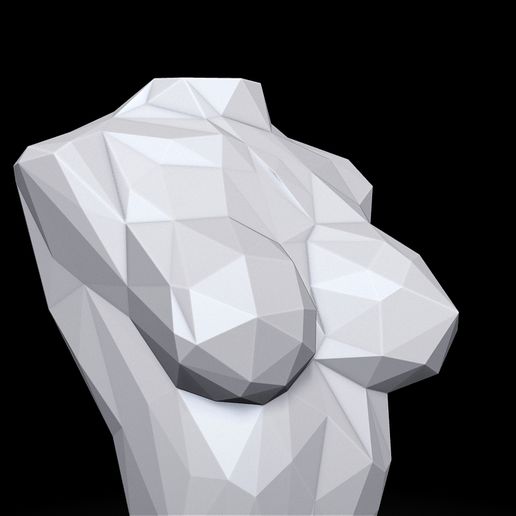 ♀️ Female Torso Triangulated Stylized 3D Model・ STL File for 3D ...