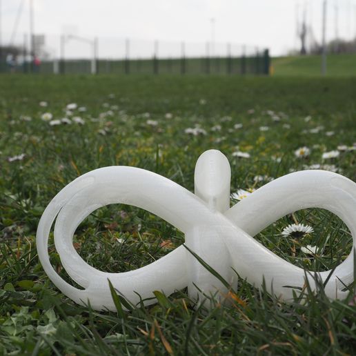 Free STL file Infinite Loopy Looper ♾️ ・3D print design to download・Cults