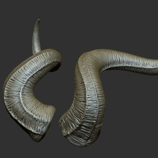 🤘 24 - Creature+Monster+Demon Horns・ 3D File for 3D printing・Cults