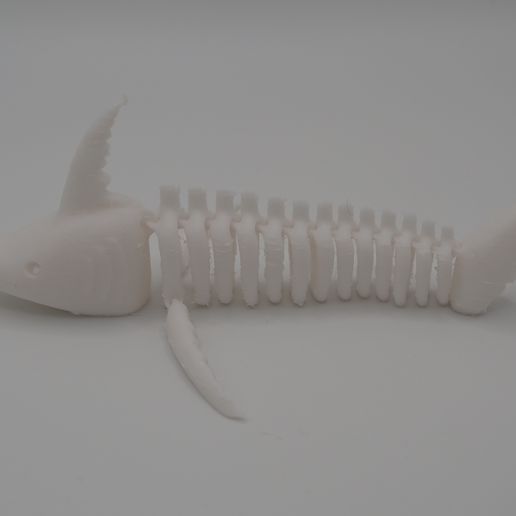 🐠 Articulated Fish / Marlin Swordfish fish Skeleton 3d Print Printable ...