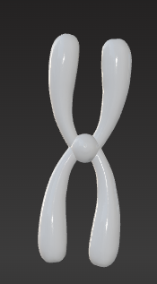 🎒 Chromosome・ STL File for 3D printing・Cults