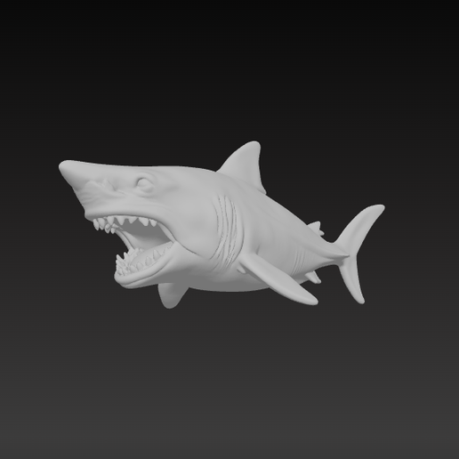 STL file Aggressive Shark STL – Ferocious & Lifelike 3D Model for ...