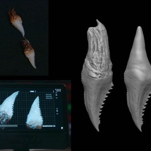 STL file 3D PRINTABLE DAY SHIFT MOVIE EXTRACTED VAMPIRE FANGS 🎬 (OBJ ...