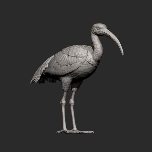 🐦 Egyptian Ibis・ STL File for 3D printing・Cults