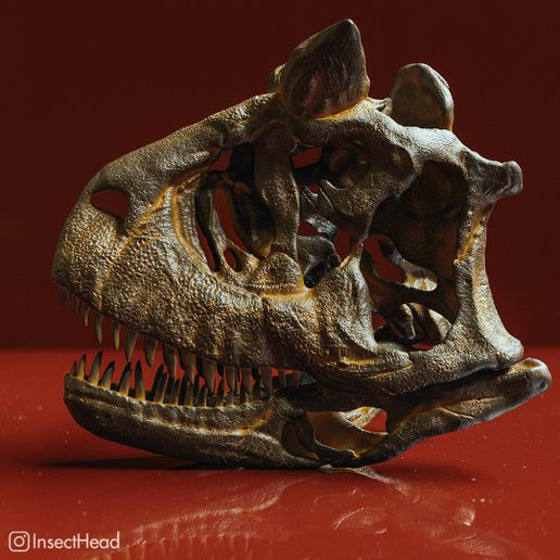 💀 Carnotaurus sastrei skull reconstruction・ STL File for 3D printing・Cults