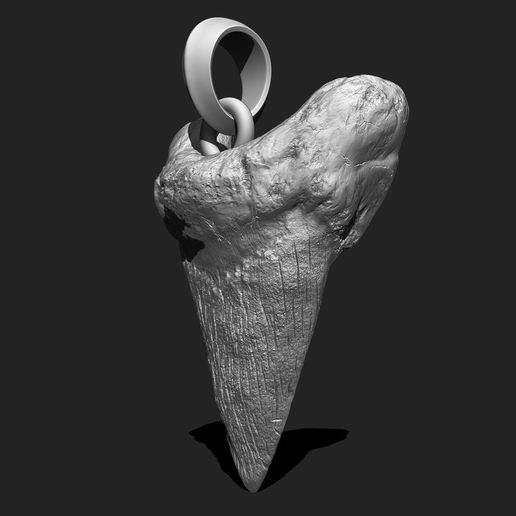 🦈 Shark Tooth Fossil - 3D Print Pendant・ 3D File for ・Cults