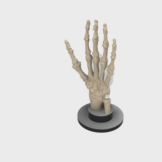 🦴 3D Human Bone Anatomical Skeleton Hand with Display Base - Realistic ...