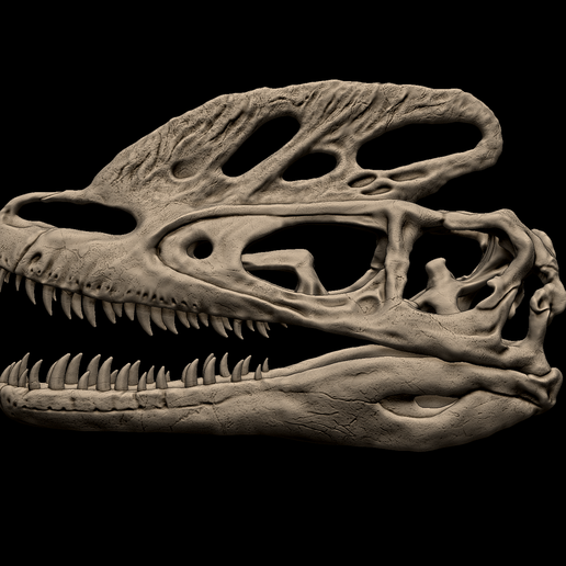 guanlong skeleton