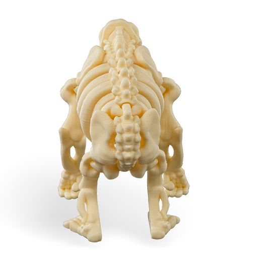 3D file Skeleton Chimp 💀 ・Template to download and 3D print・Cults