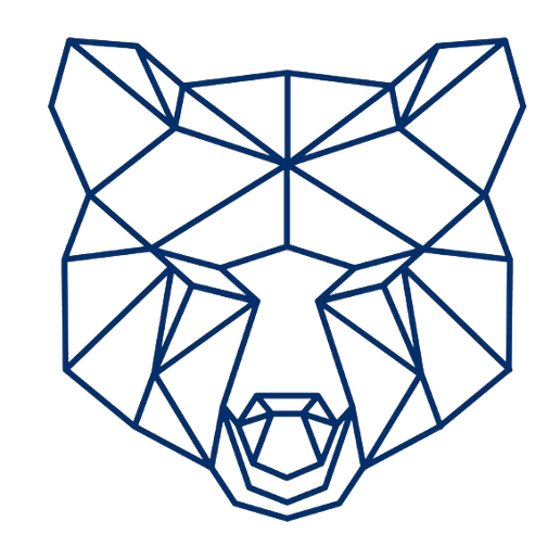 geometric bear design