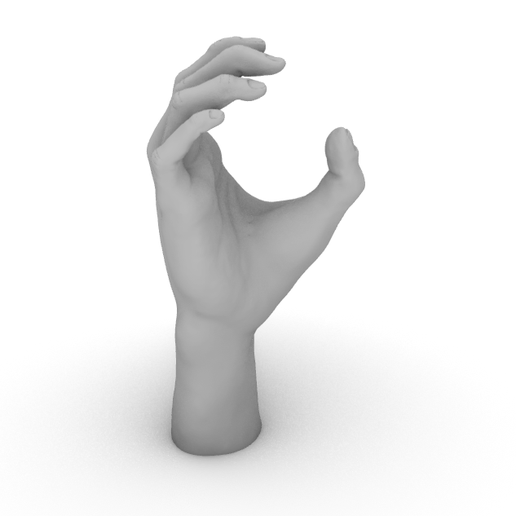 3D Model of a Human Hand - Detailed and Ready for 3D Printing // 3D ...