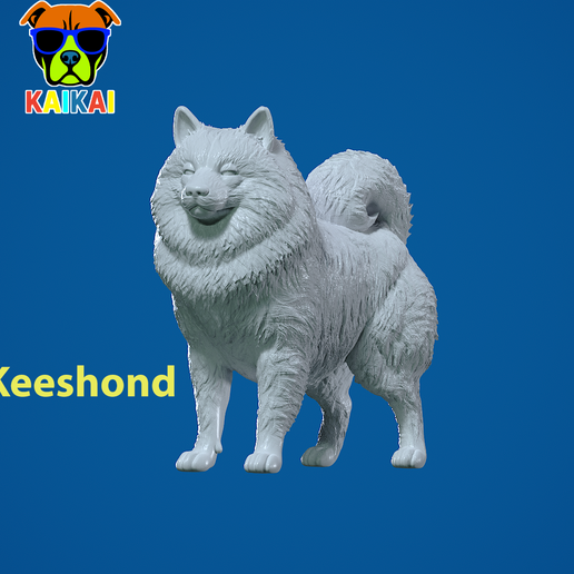 🐕 Keeshond Dog model - Dutch Barge Dog statue - 3D print・ 3D File for ...