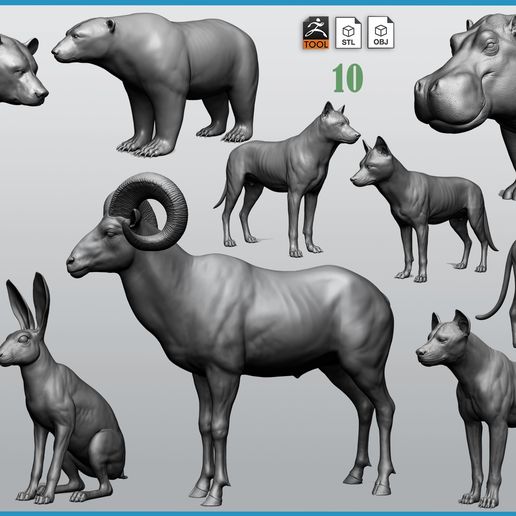 🐉 Wild animal collection - 10 animals・ 3D File for ・Cults