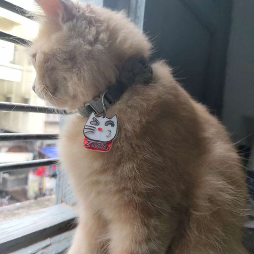 🐱 CAt TAg・Archivo STL para Impresión 3D・Cults