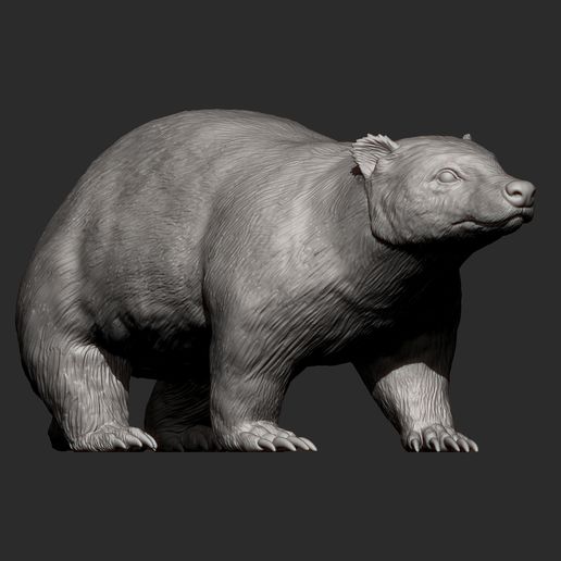 STL file European Badger 3D print model 🦡 (OBJ)・3D printable model to ...