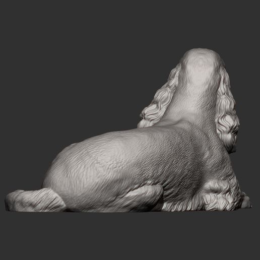 ⬇️ English Cocker Spaniel lying down・ STL File for 3D printing・Cults