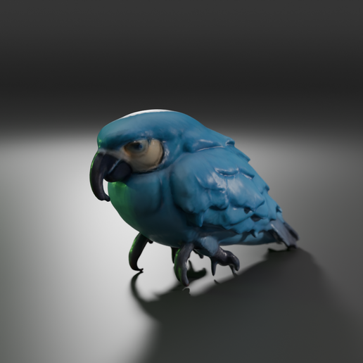 3D file blue macaw 🐦 ・3D printer design to download・Cults