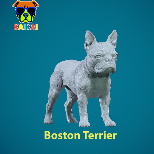 🐂 Boston Bull Terrier Dog - American gentleman Dog model - 3D print・ 3D ...
