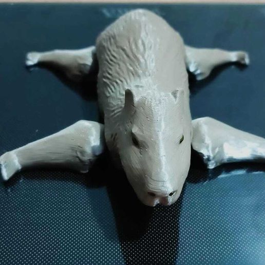🎨 Capybara articulated・ STL File for ・Cults