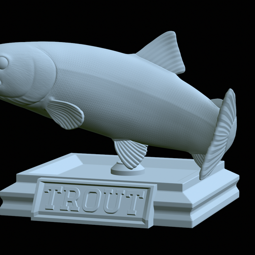 🐠 fish rainbow trout / Oncorhynchus mykiss trophy statue detailed ...