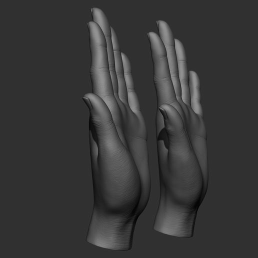 ♀️ 17 Female hand poses・ 3D File for ・Cults