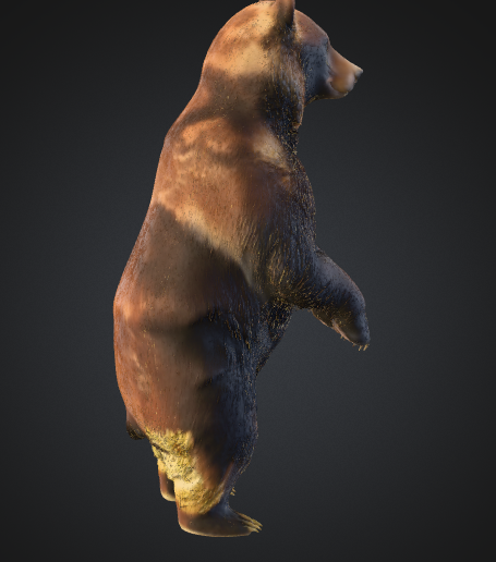 🐻 Bear Standing・ 3D File for 3D printing・Cults