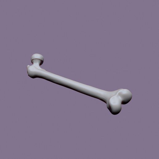 🦴 human femur for 3D printing・ STL File for ・Cults