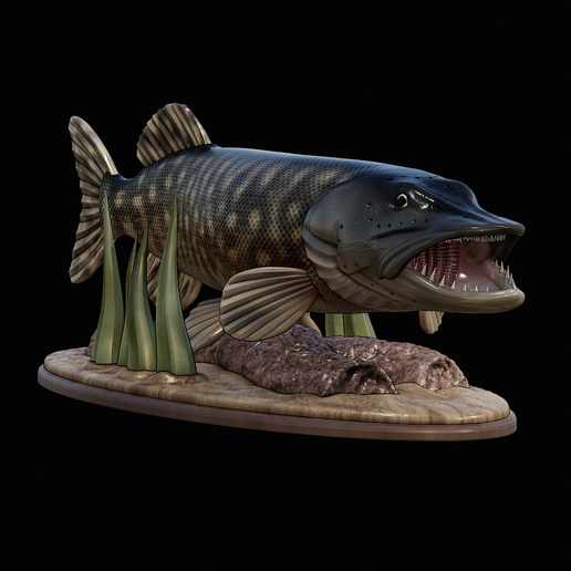🐠 fish NORTHERN PIKE (ESOX LUCIUS) in motion 2 natural base detailed ...