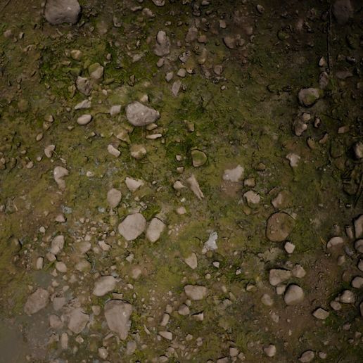 forest ground texture