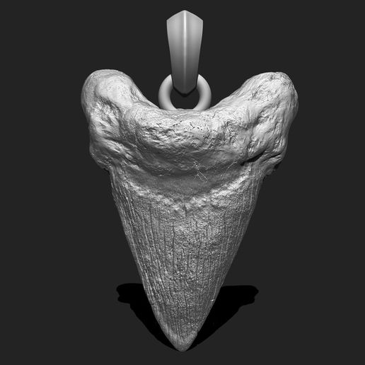 🦈 Shark Tooth Fossil - 3D Print Pendant・ 3D File for ・Cults