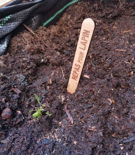 Arquivo grátis 3D Garden Label Laser Cut - Garden labels 🏷️ ・modelo ...